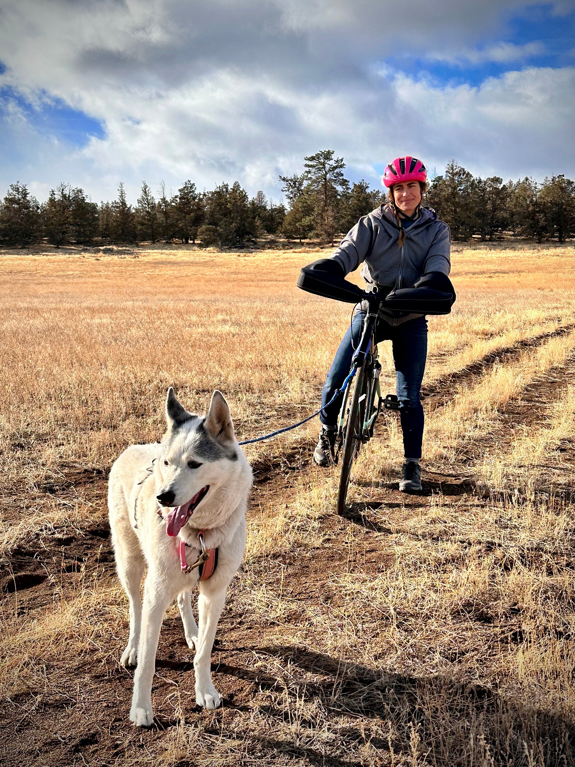 Hippo Hands: motorcycle hand covers for warm dry hands in any weather ...